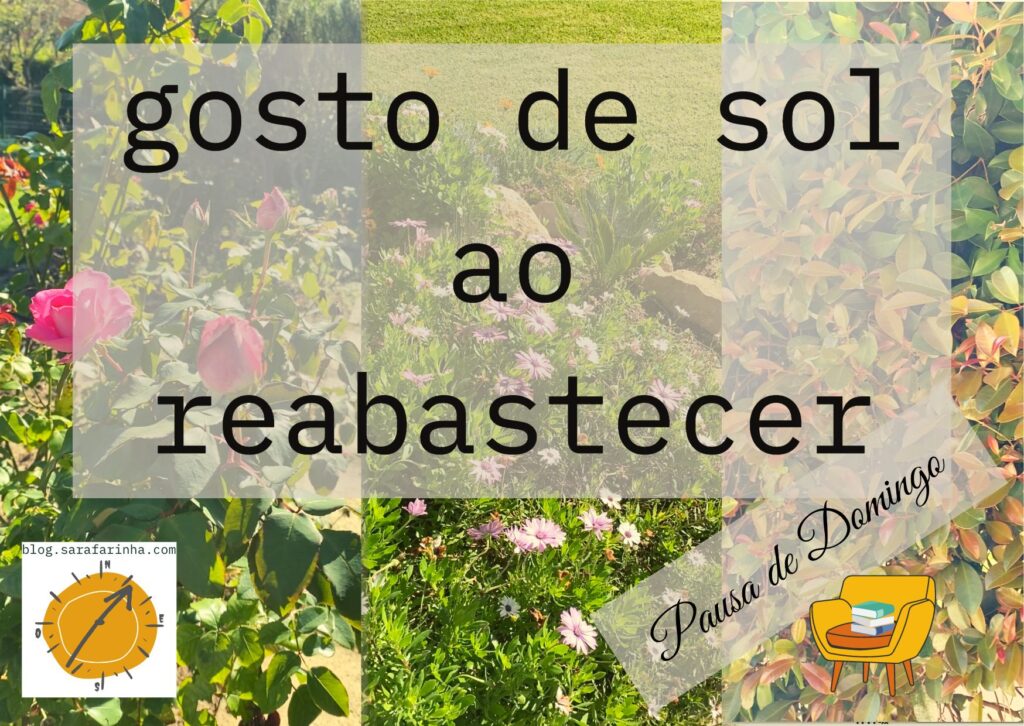 [pausa de domingo] gosto de sol ao reabastecer – Sara Farinha